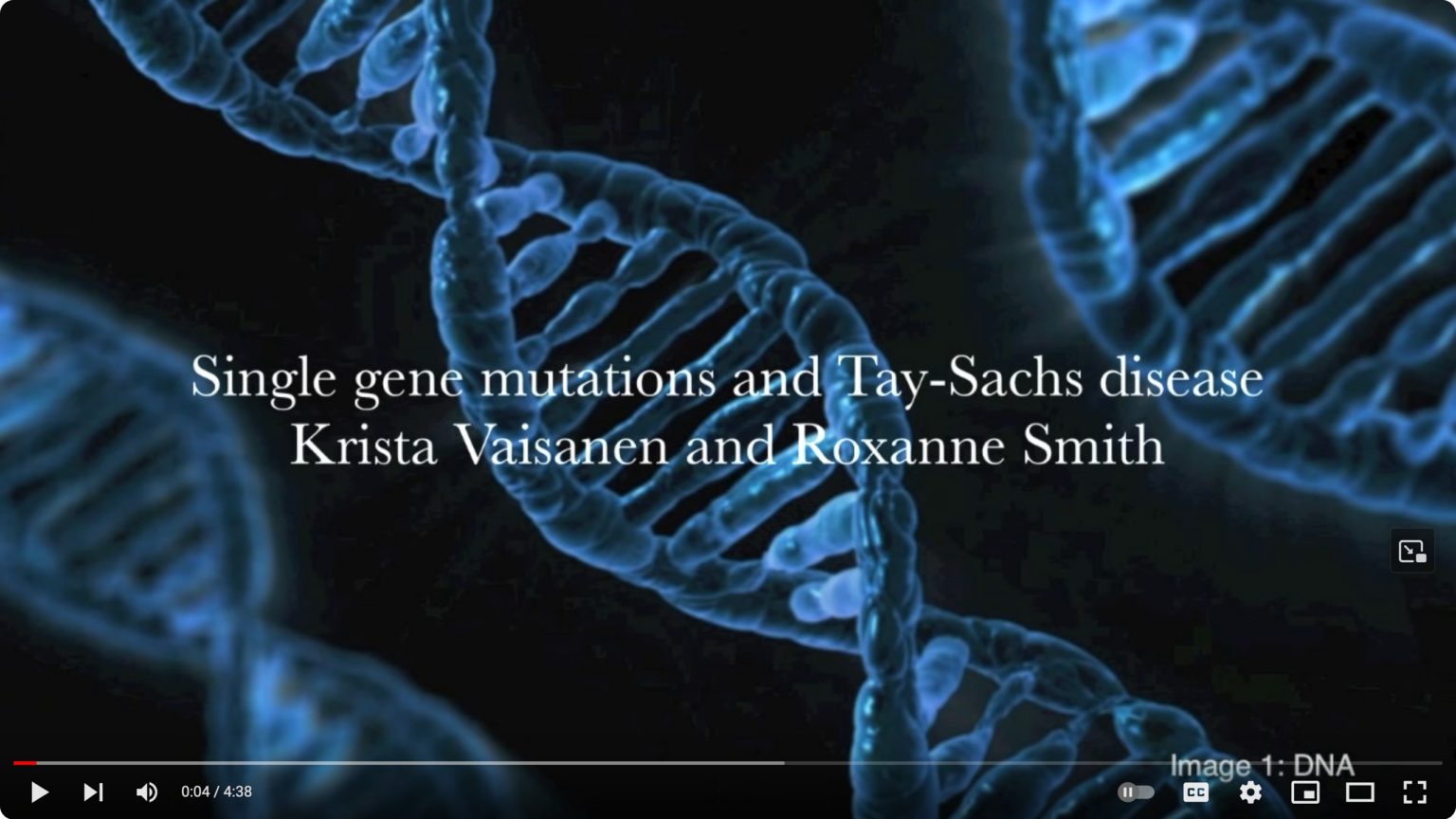 Cure Tay-Sachs Foundation - Tay-Sach's User Friendly Guide